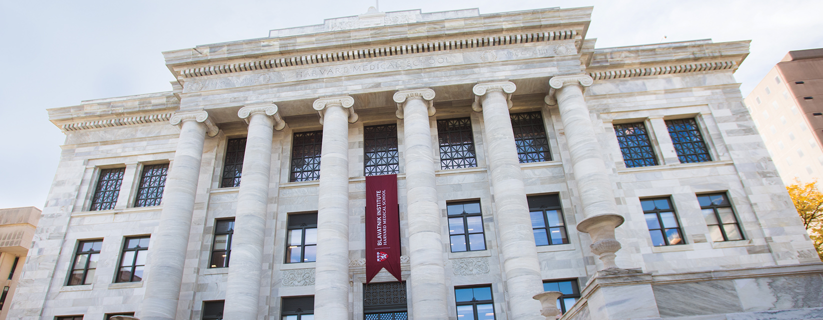 The Heart | Harvard Medicine Magazine