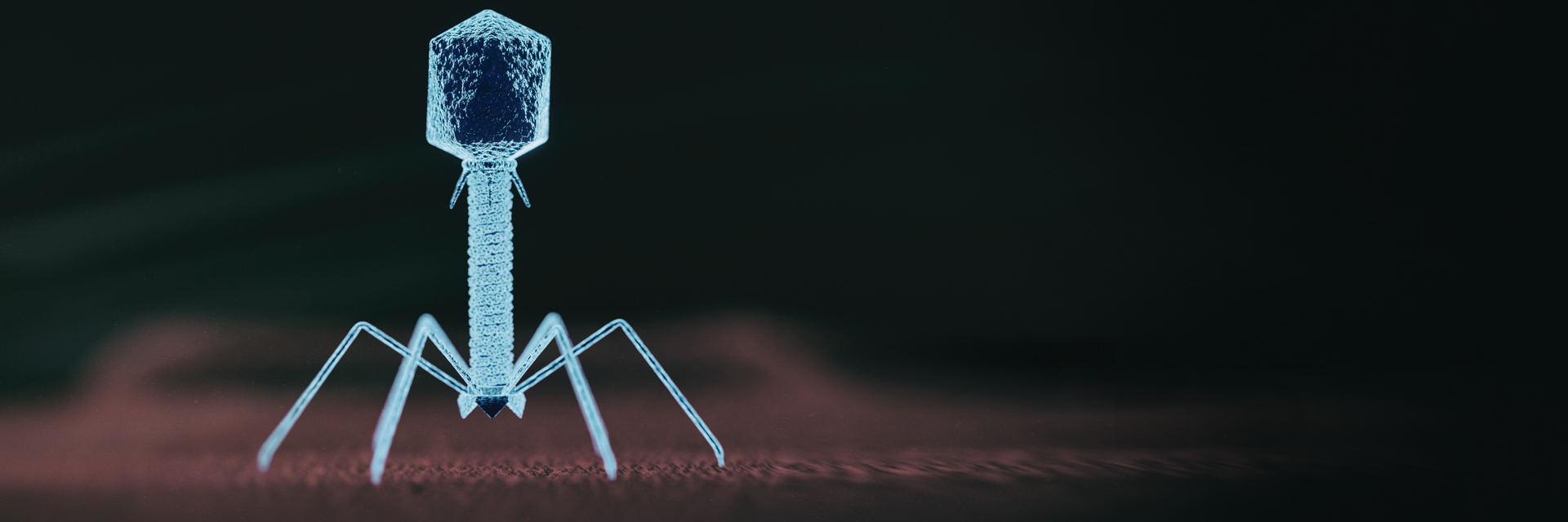 The Good that Viruses Do | Harvard Medicine Magazine