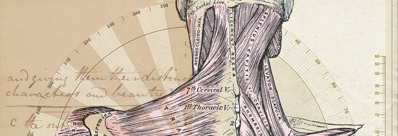 Tinker, Tailor, Surgeon, Trainer | Harvard Medicine Magazine