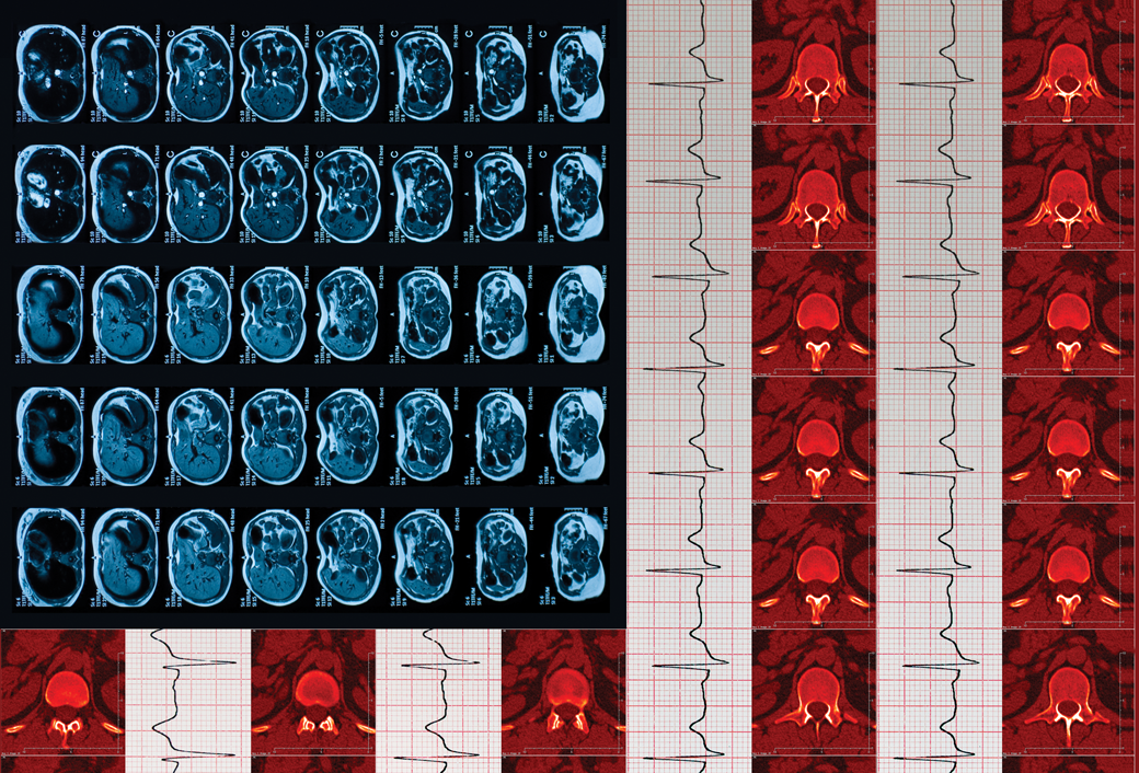 A National Portrait | Harvard Medicine Magazine
