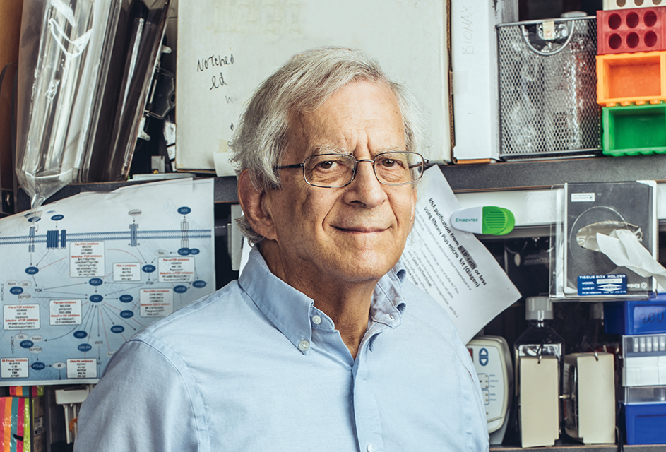 A Conversation on Aging Research | Harvard Medicine Magazine