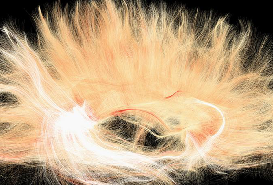 Looking into the Matter | Harvard Medicine Magazine