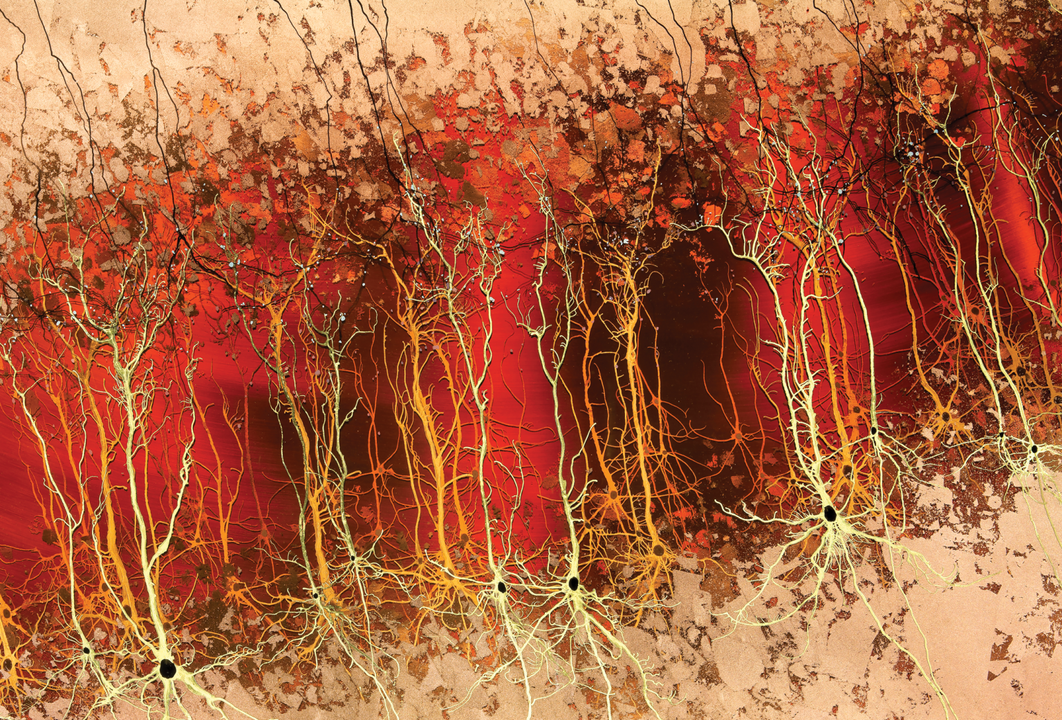 Designing Brain-Computer Interfaces That Connect Neurons to the Digital ...