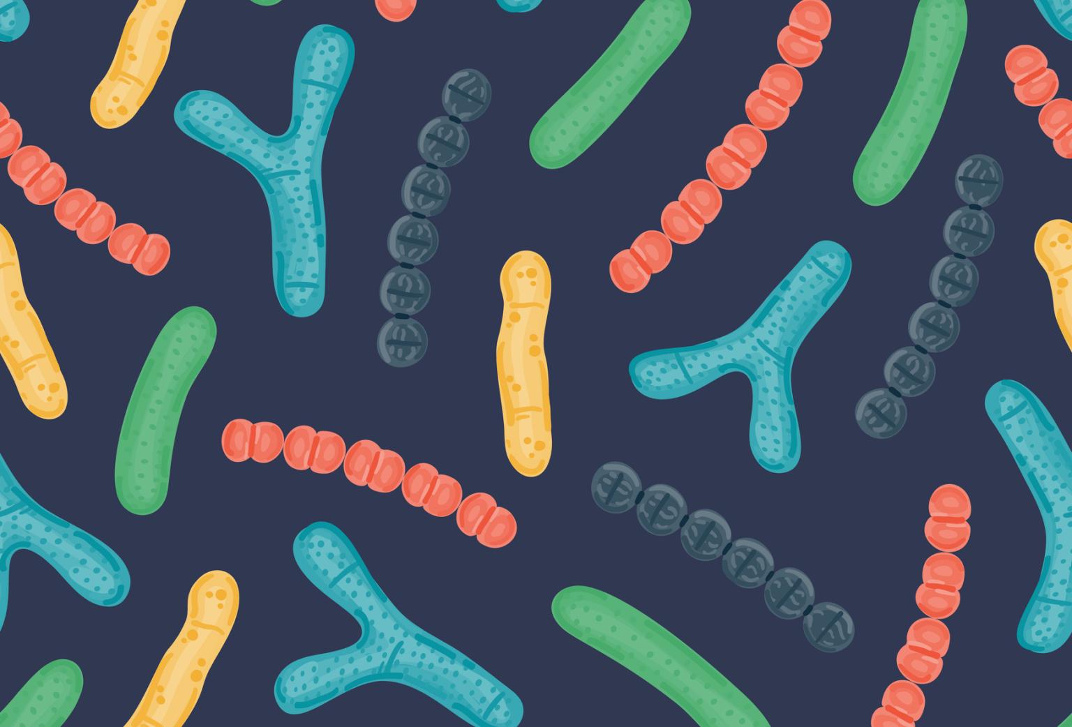 The Long Game of Microbiome Science | Harvard Medicine Magazine