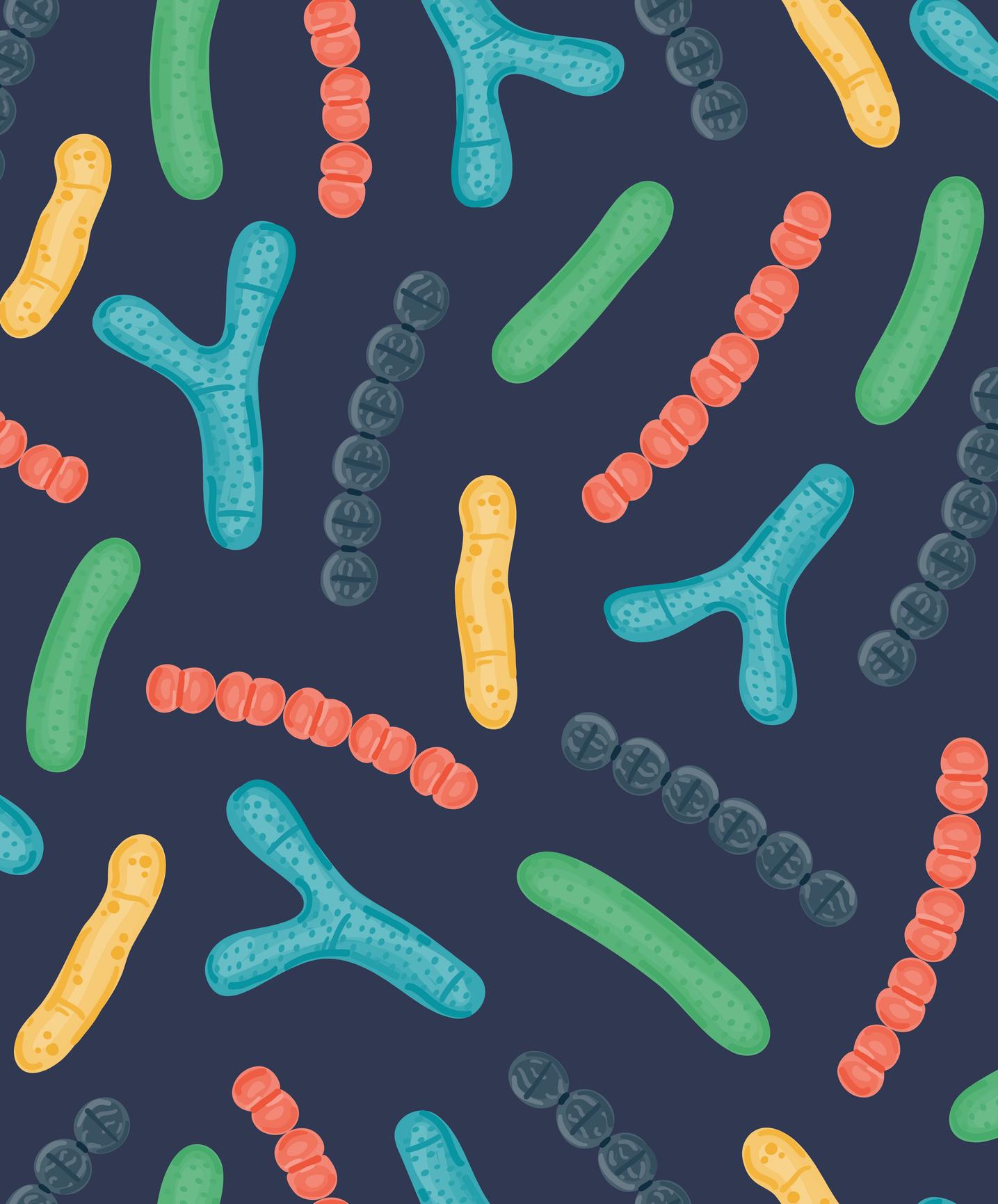 The Long Game of Microbiome Science | Harvard Medicine Magazine