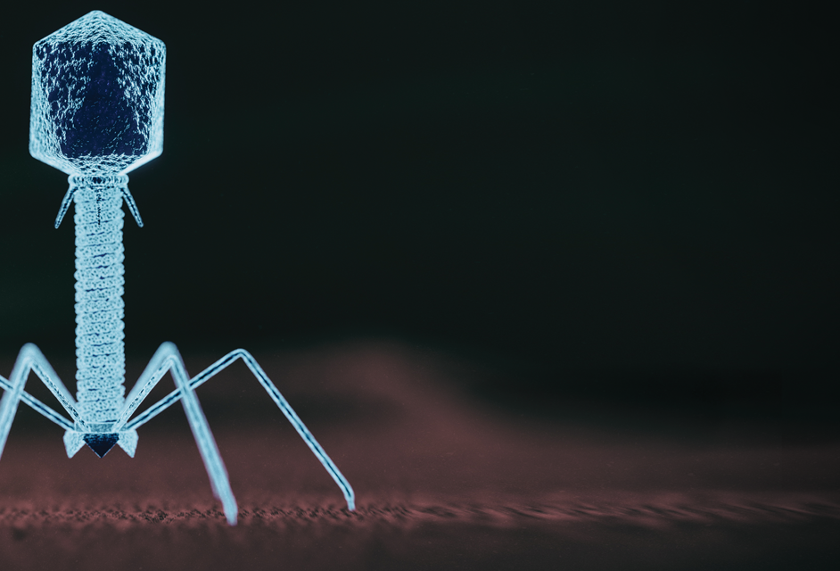 The Good that Viruses Do | Harvard Medicine Magazine