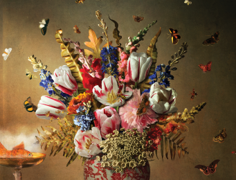 Women’s Health | Harvard Medicine Magazine