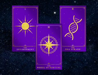 Features | Harvard Medicine Magazine