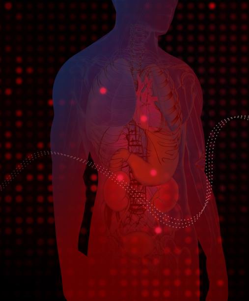 Making Sense of Interoception | Harvard Medicine Magazine