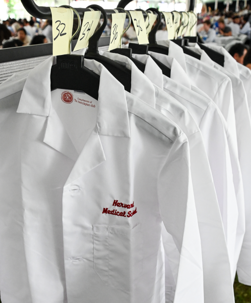 How Generative AI Is Transforming Medical Education | Harvard Medicine ...