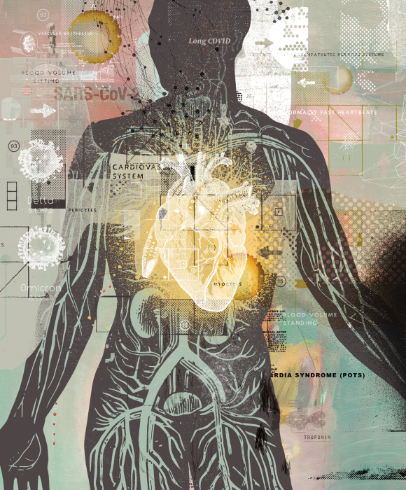 COVID’s Damage Lingers in the Heart | Harvard Medicine Magazine
