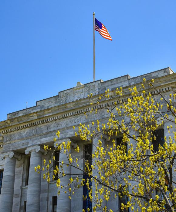 A Brief History of Federal Funding for Basic Science | Harvard Medicine ...