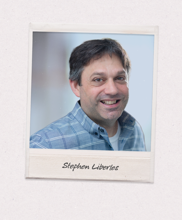 “I Think the Entire Future of the United States Is at Stake” | Harvard ...