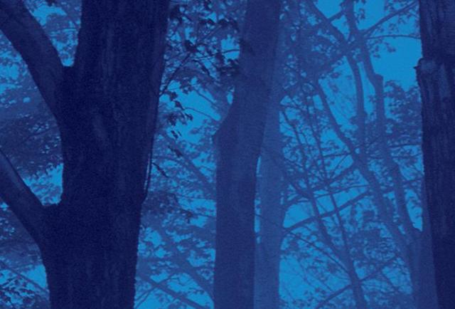 The Chill of Fear | Harvard Medicine Magazine