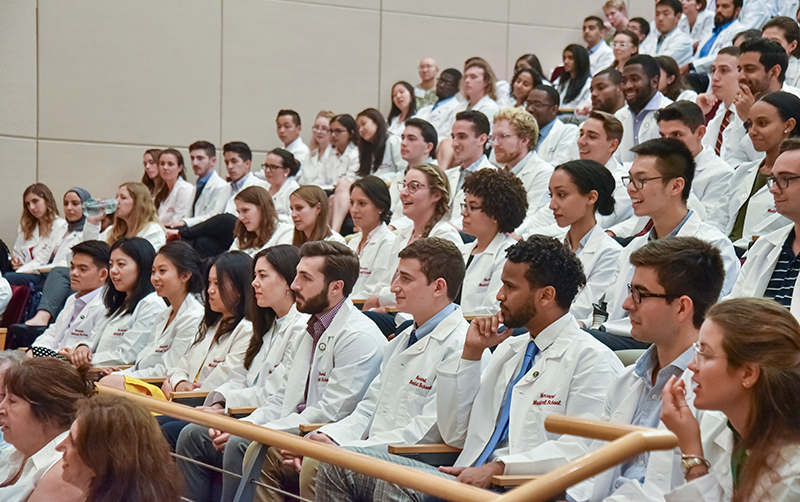 Alumni on the Skills Doctors Need | Harvard Medicine Magazine